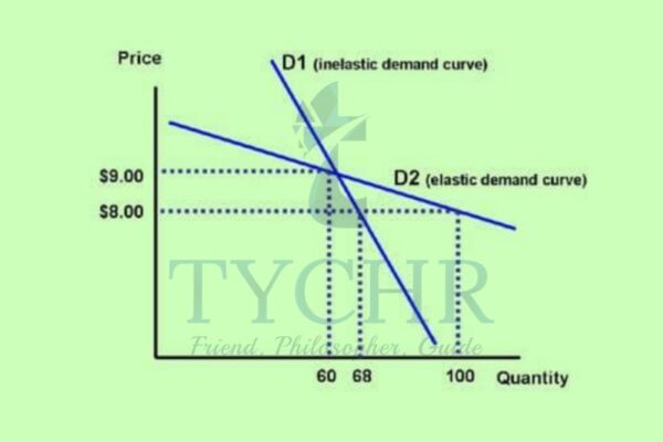 Elasticities | Chosen IBDP Economics Notes | Tychr
